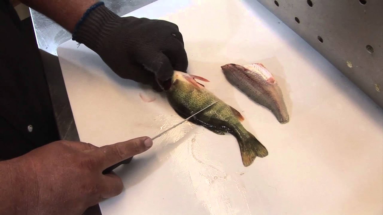 How to fillet a fish by Ultimate Fishing Gear (2-6-15) - YouTube