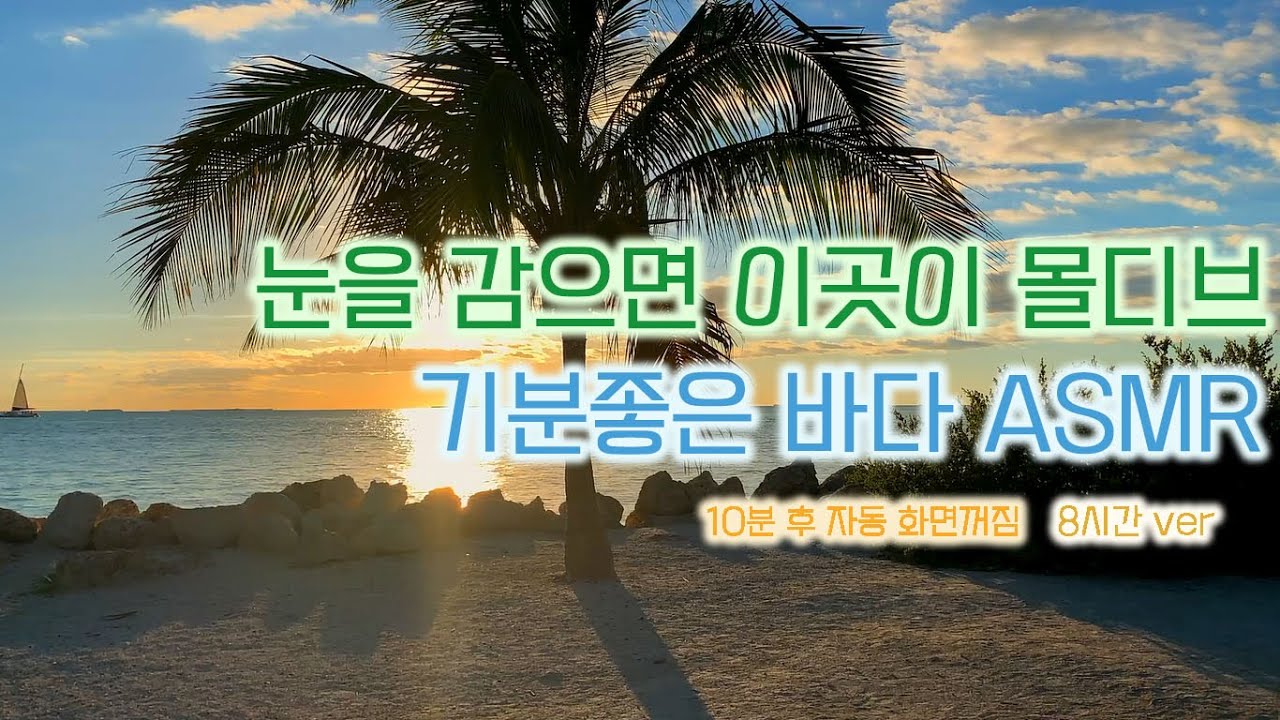 ⛱️눈을 감으면 해외 바다 앞에 있는 것 같은 수면유도 Asmr 바다 파도 새소리 광고없음 불면증에 좋은 영상 힐링asmr Relaxing