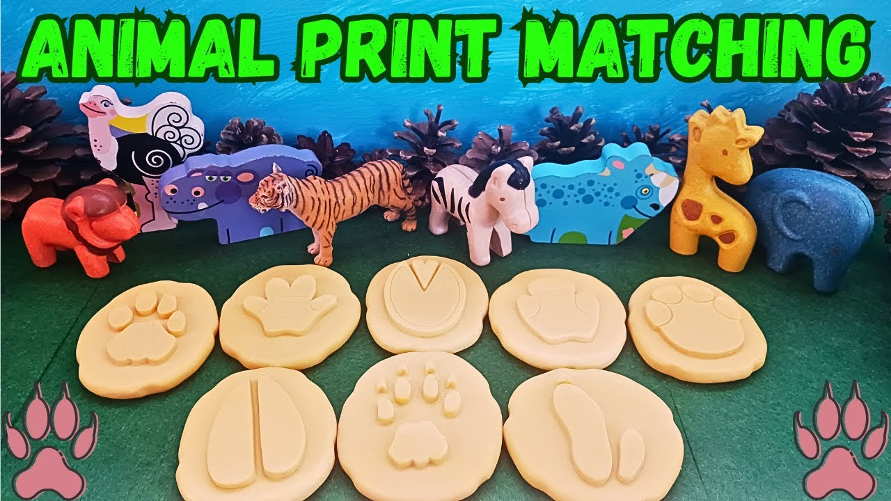 Animal Print Matching - Learn Animal Prints, Names & Sounds With Animal ...