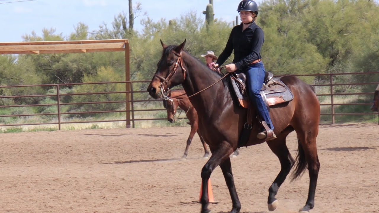 Class 33 - Ranch Pleasure 3-Gaited | Scottsdale Saddle Club - March ...