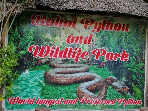 BOHOL PYTHON & WILDLIFE PARK (WORLD LONGEST & PRESERVED PYTHON) - YouTube