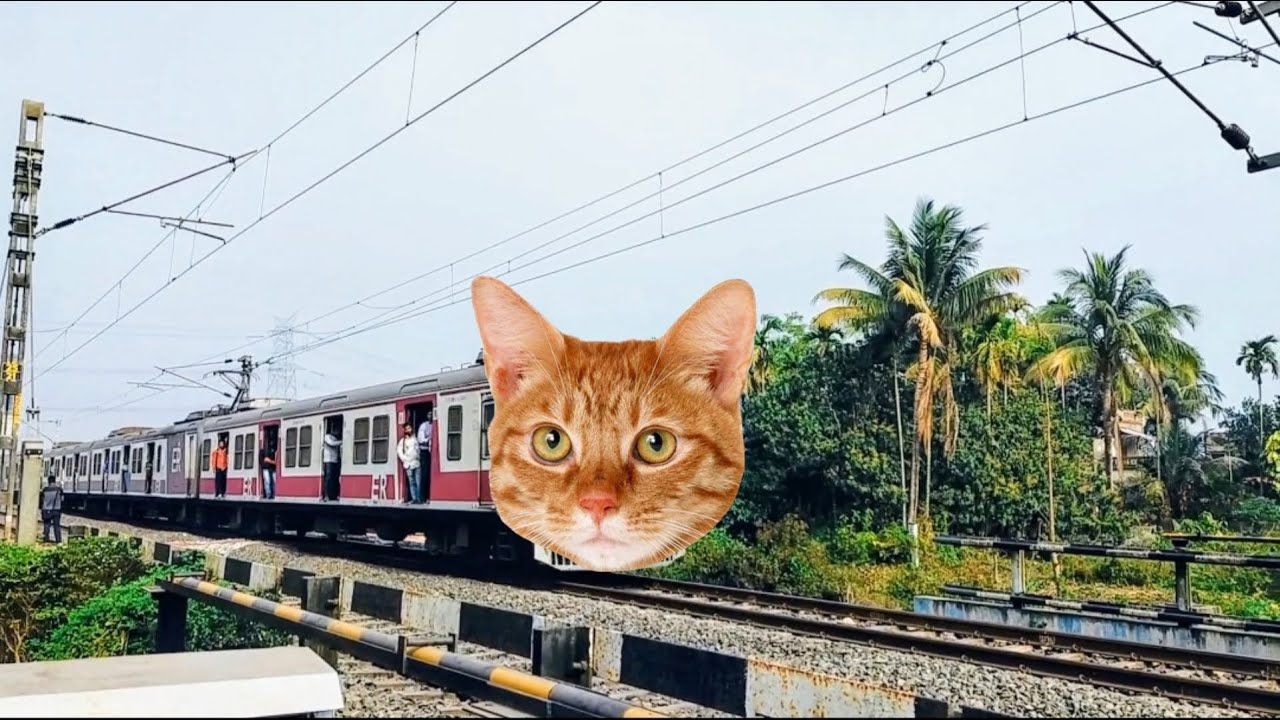 Dangerous Cat Headed Katwa - Howrah local Vs Malda Town Intercity ...