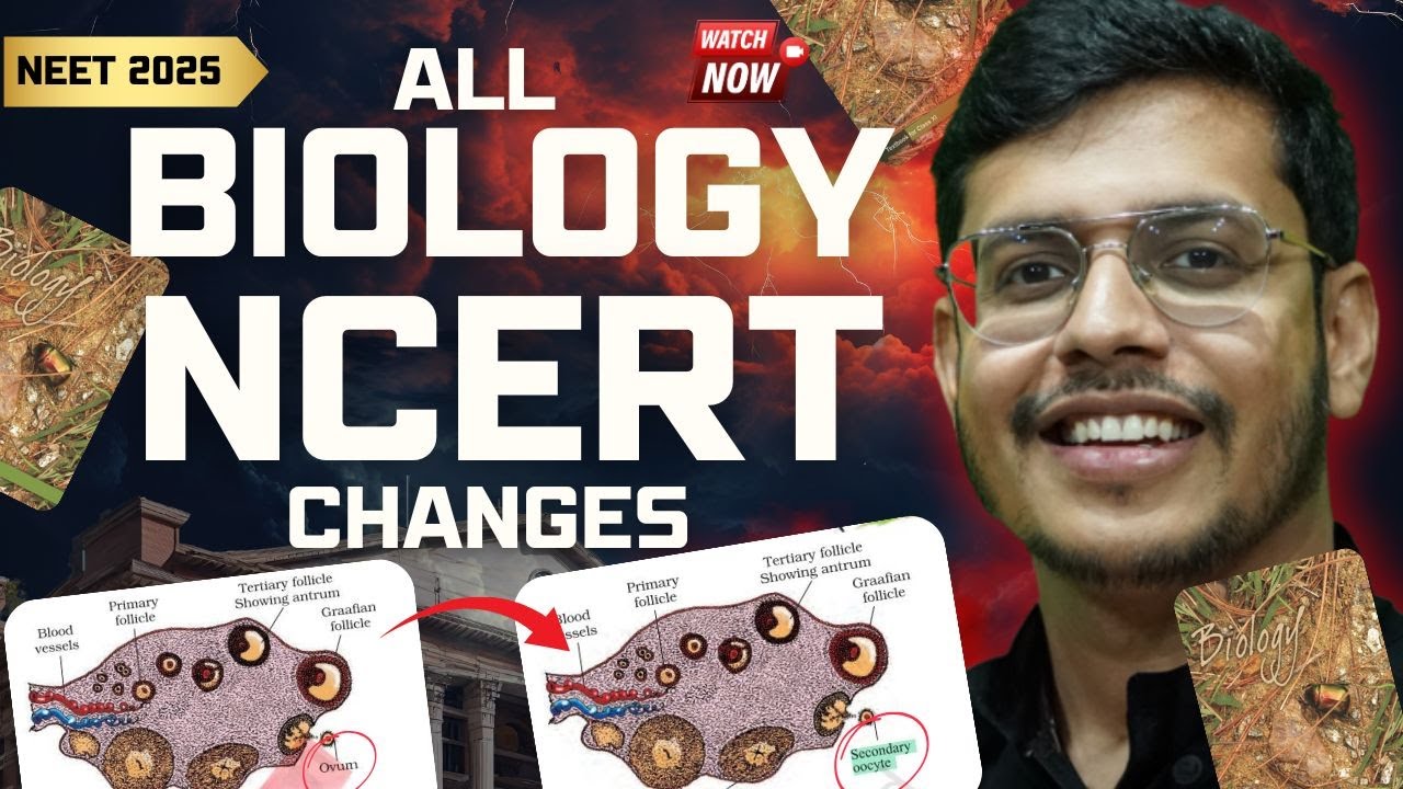 NEET 2025 Updated NCERT | NEW NCERT Major Changes | NEET 2025 Biology ...