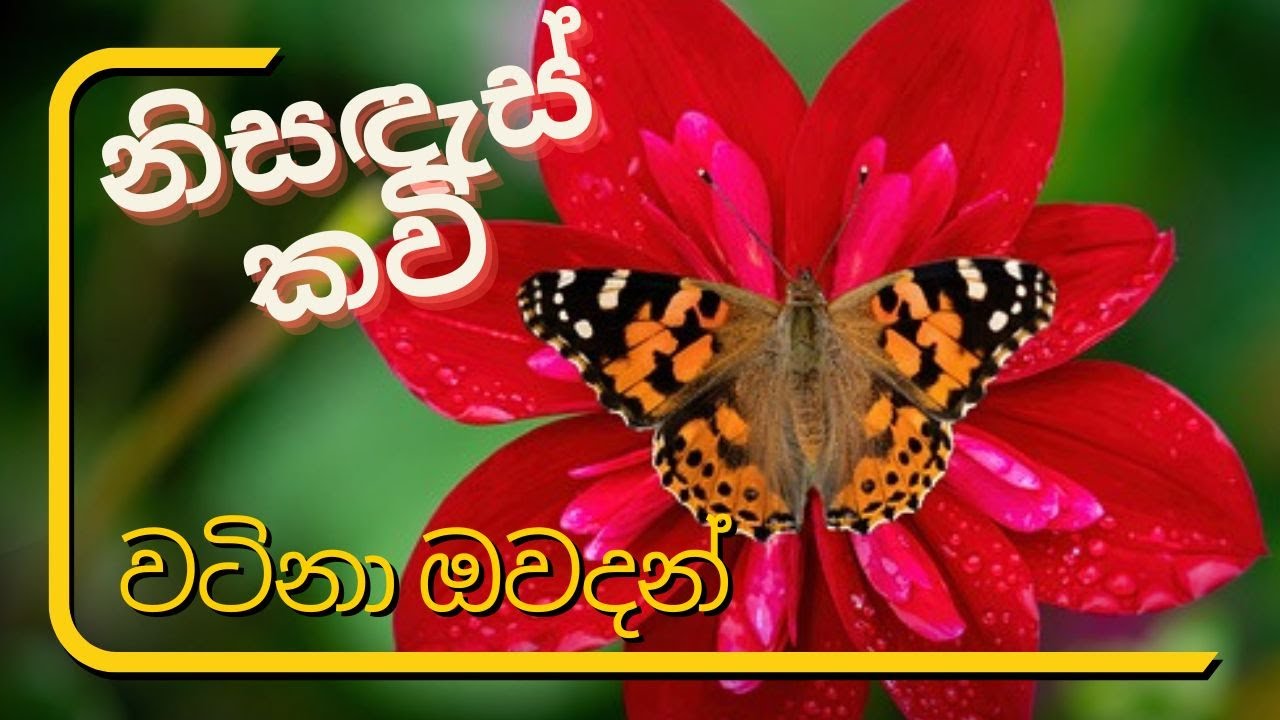 වටිනා ඔවදන් - නිදහසේ අසන් - නිසඳැස් කවි /Sinhala Nisadas - YouTube