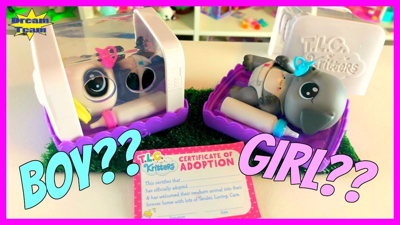 TLC Kritters Animal Toy Surprises! Gender Reveal With Water! Boy or ...