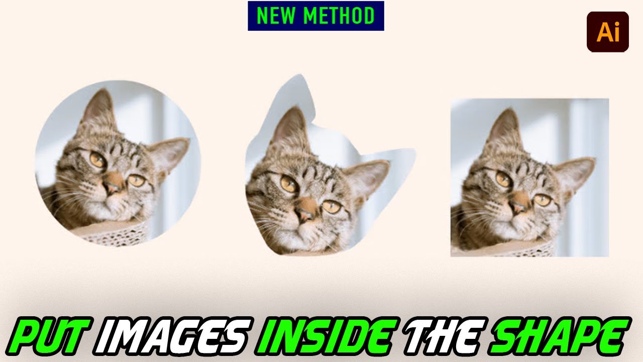 How to put images inside the shape in illustrator 2026 [ Easy Methods ...