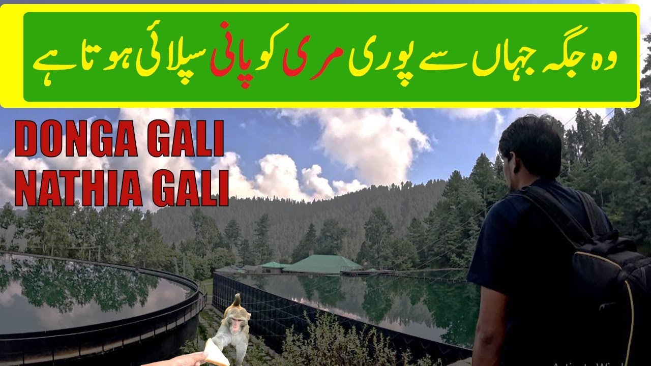 Donga Gali Murree | Nathia Gali Pipeline Track | Nimli Waterfall ...