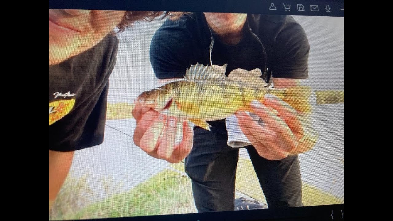 Catching GIANT PERCH in the Gravel pit capital of the world part 3 ...