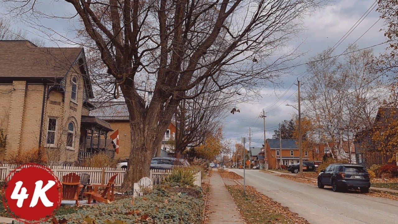 Late Autumn Walk | Beautiful Old Town, Kitchener🇨🇦 | ASMR 4K 60fps ...
