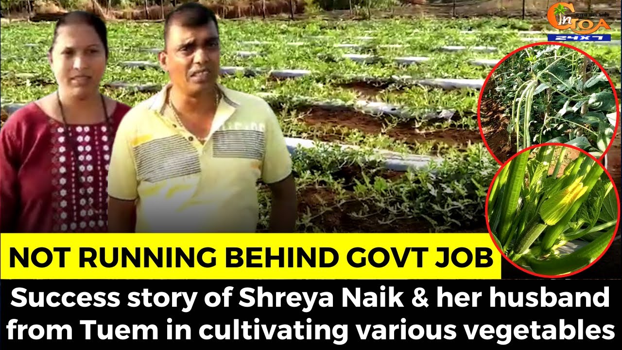 Not running behind Govt job- Success story of Shreya Naik & her husband ...
