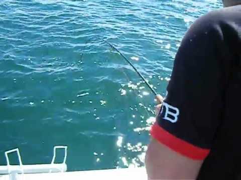 King George Whiting Fishing. - YouTube
