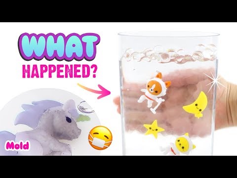 DIY JELLY TEST with Slime, Hand Gel, Orbeez and MORE!!! Craft Kit Update, Turned MOLDY! EW