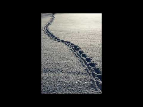 Rüyada Beyaz Yılan Görmek Ne Anlama Gelir