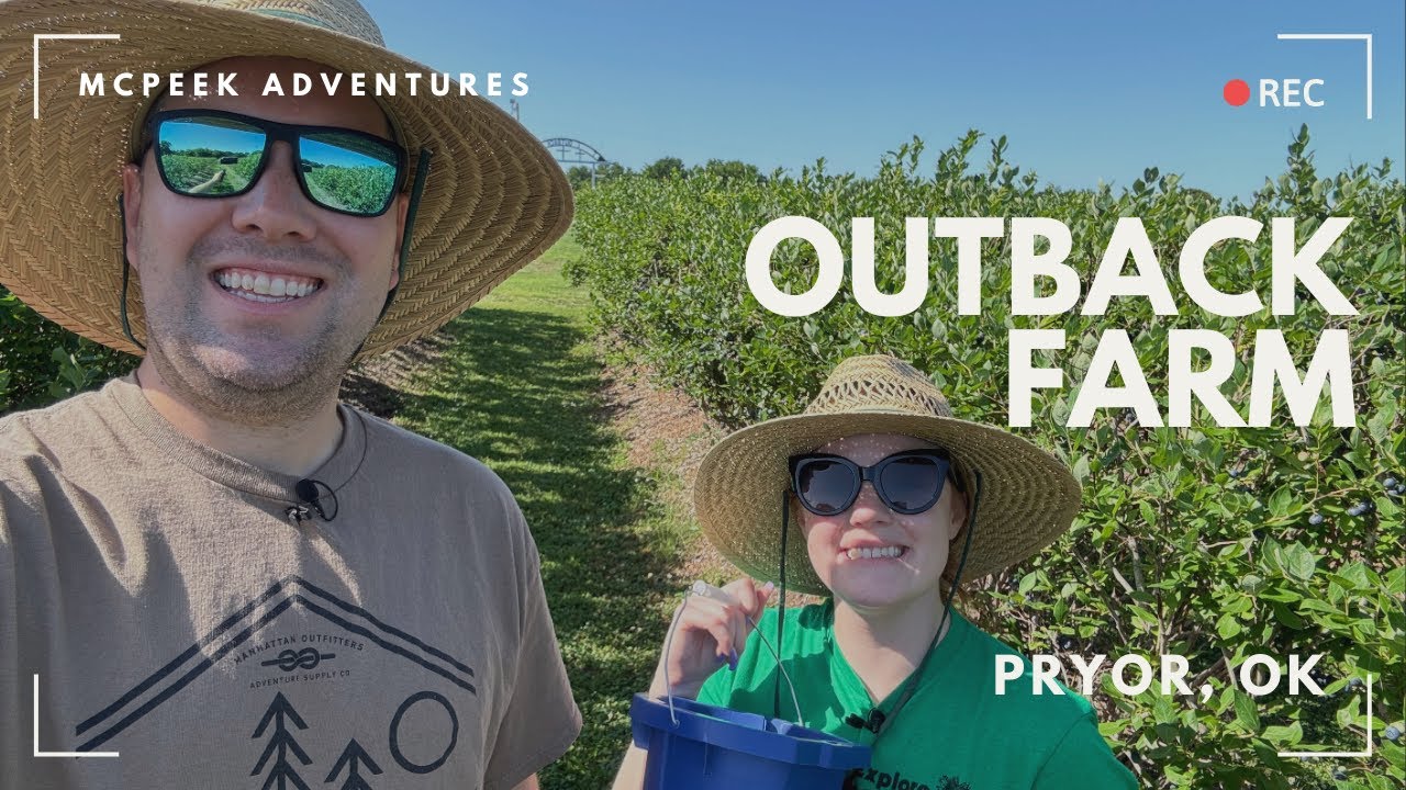 Outback Farm is THE PLACE To Pick Blueberries! - YouTube