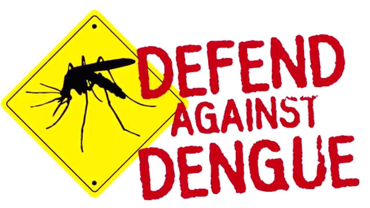 Dengue All you need to know ! - YouTube