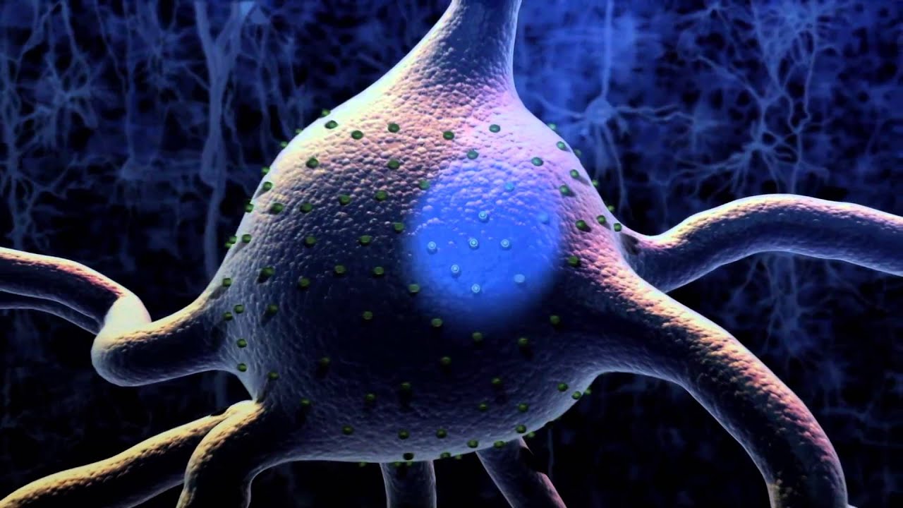 Optogenetics: A Light Switch for Neurons - YouTube