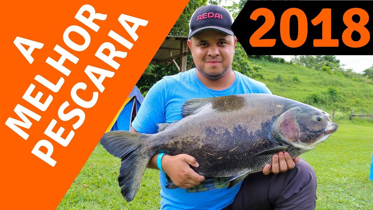 A MELHOR PESCARIA DE 2018 - PESQUEIRO RANCHO FORTALEZA/RJ - YouTube