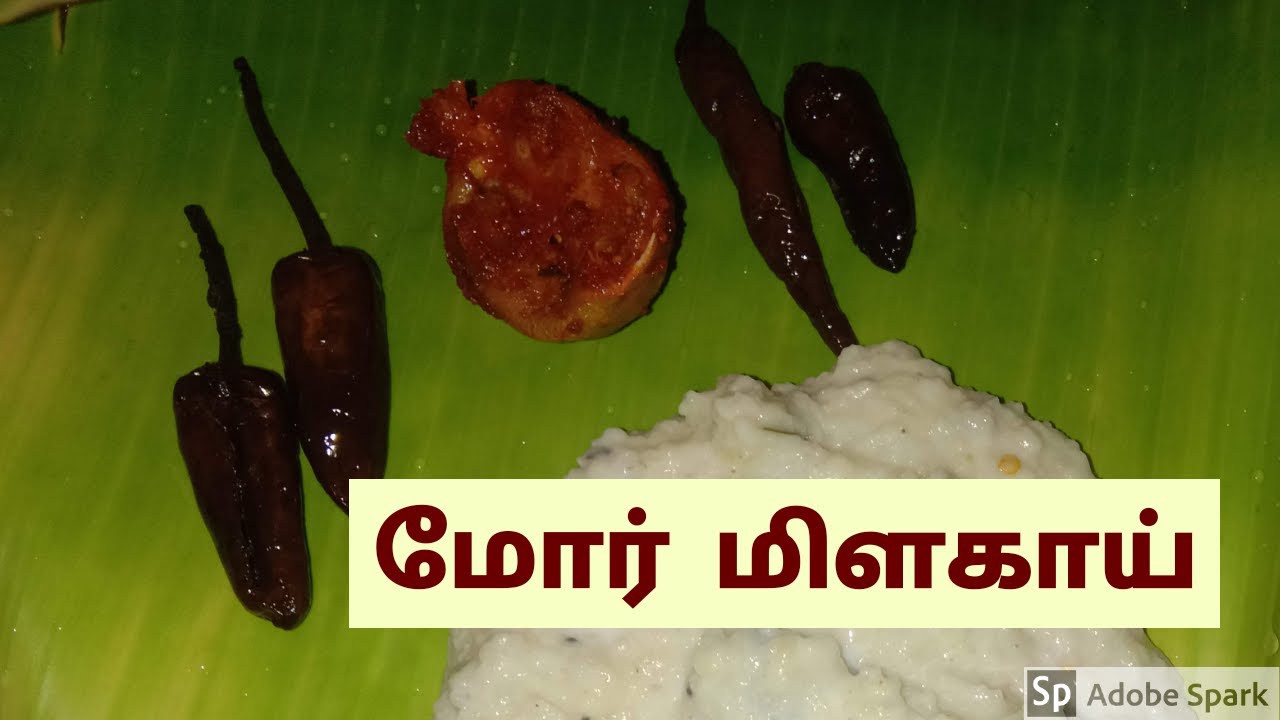மோர் மிளகாய் | Sun Dryed Chillies | Traditional moru milakai recipe ...