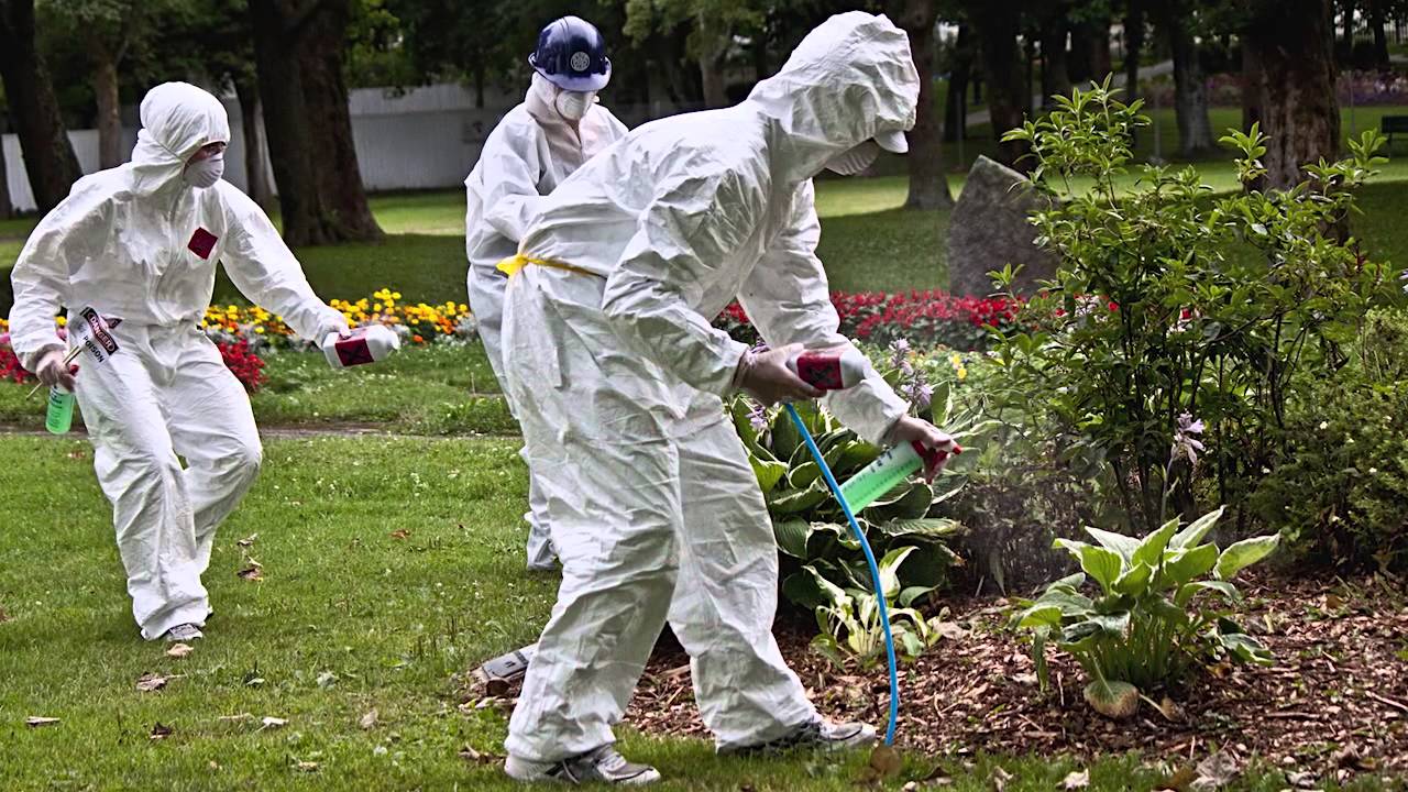 Glyphosate Removal in Water - YouTube