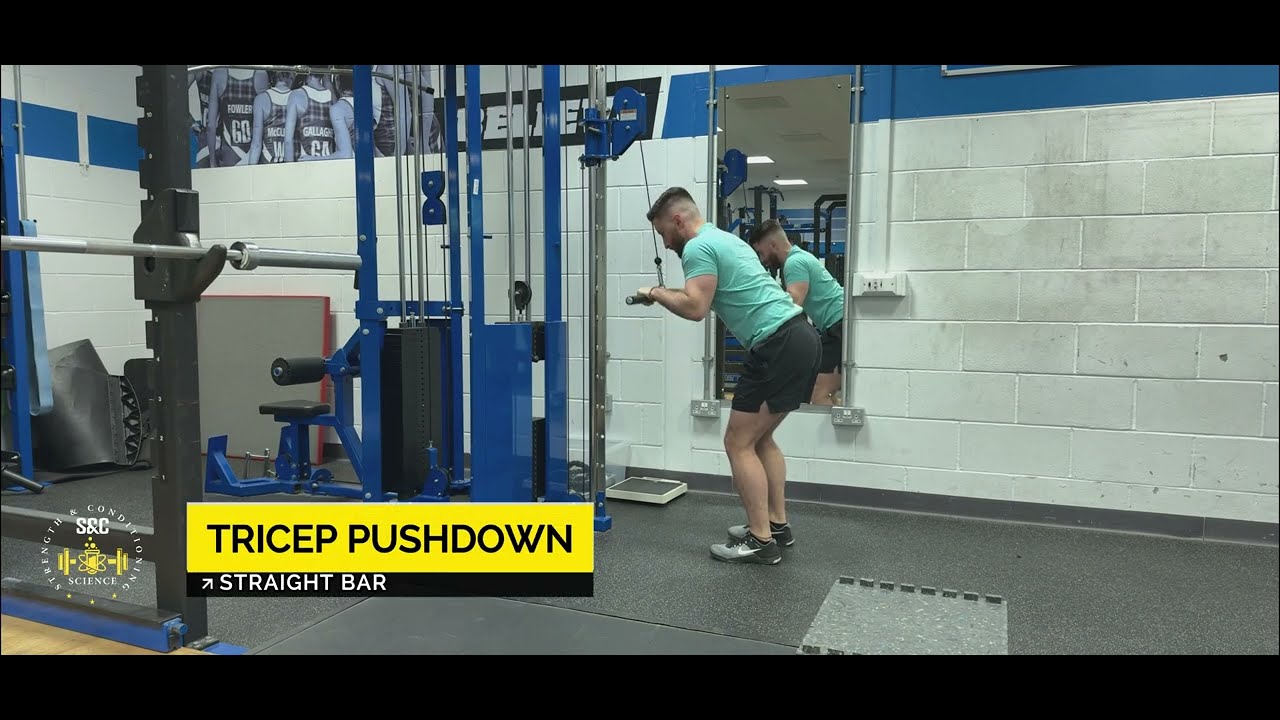 Cable Tricep Pushdown Straight Bar - YouTube