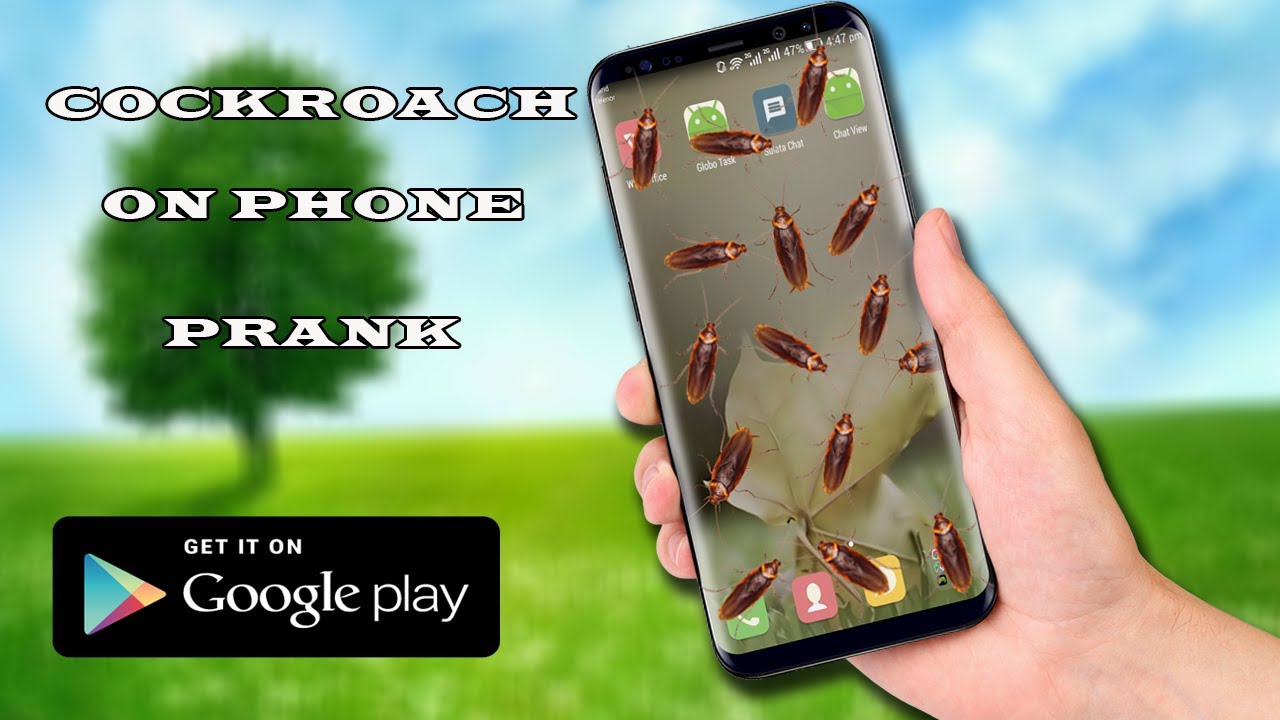 cockroach in phone prank - YouTube