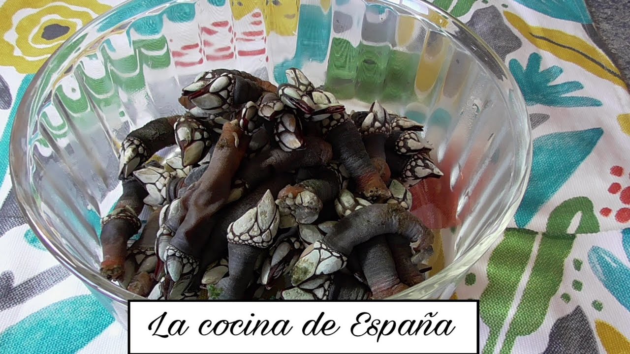 COMO COCER PERCEBES FRESCOS - YouTube