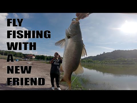 fly fishing with a new friend - YouTube