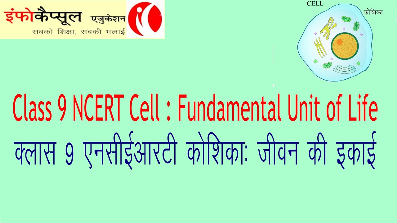 Class 9 NCERT SCIENCE Cell: Basic Unit Of Life कक्षा 9 एनसीईआरटी ...