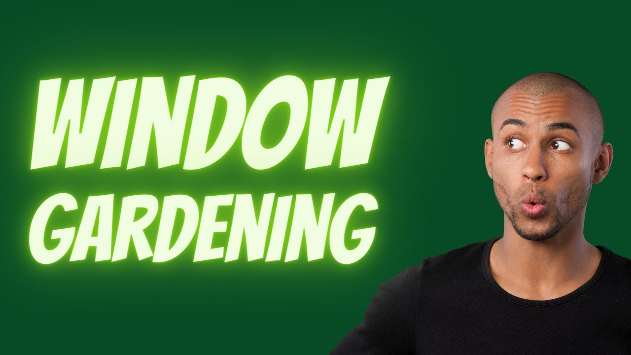 Window gardening - YouTube