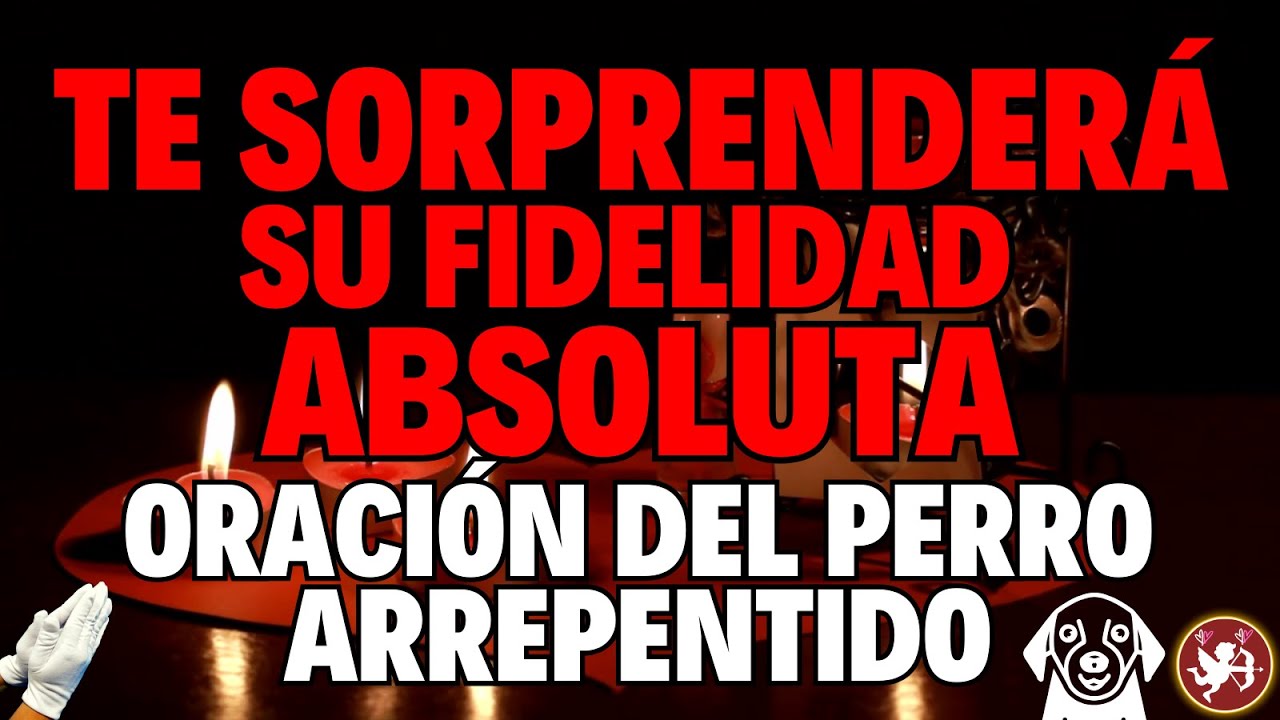 CONSIGUE SU FIDELIDAD ABSOLUTA CON ESTA ORACIÓN DEL PERRO ARREPENTIDO ...