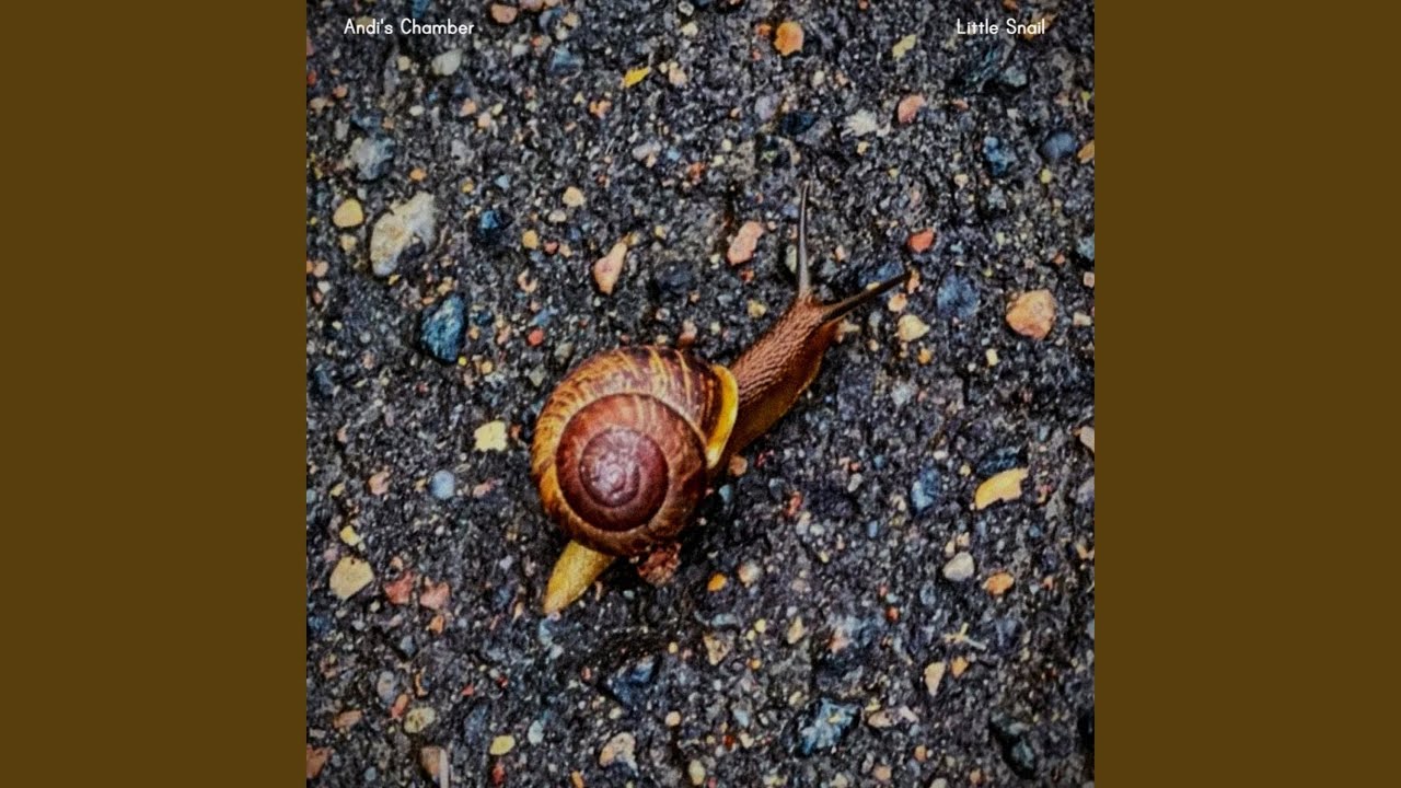 Little Snail - YouTube