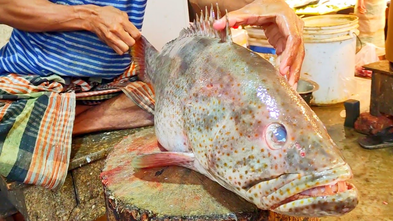 13KG GIANT HAMOUR FISH CUTTING SKILLS LIVE IN BANGLADESH FIDH MARKET ...