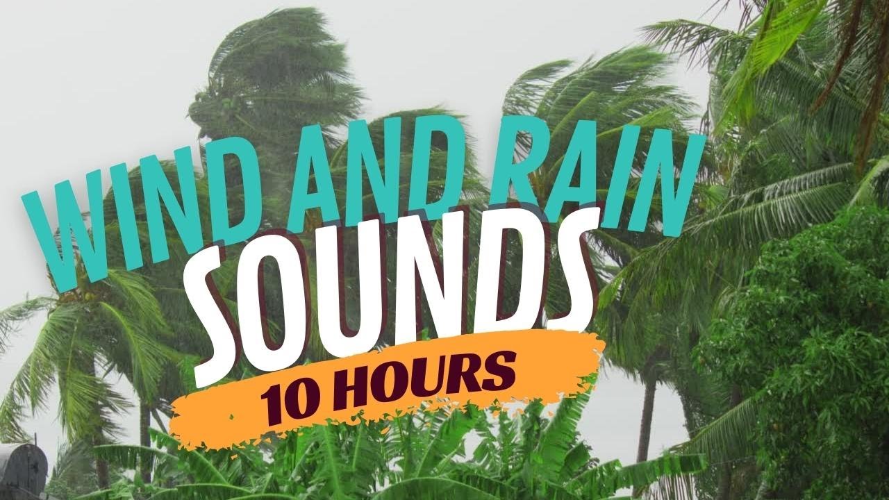 Wind and Rain Sounds (10 Hours) Howling Wind and Heavy Rain Noise - YouTube
