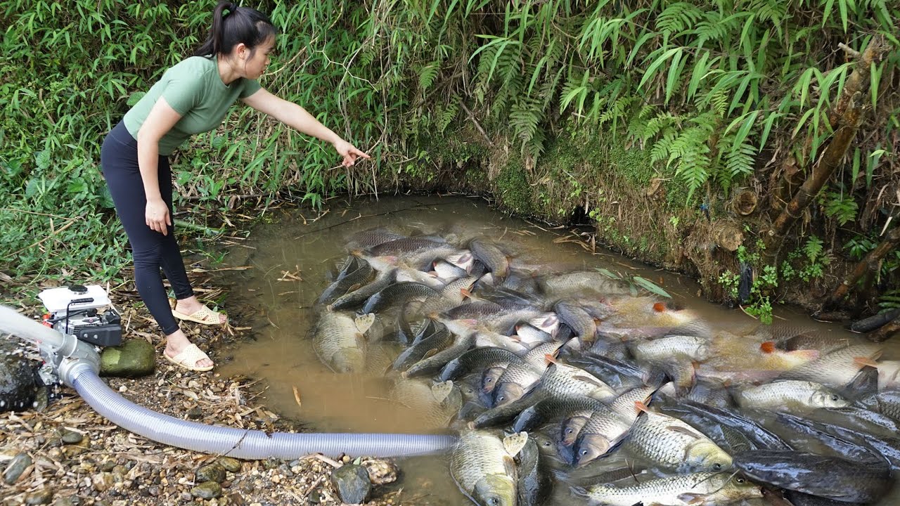Amazing Wild Fishing - Unique Fun Catching Big Fish Using A Big Pump ...