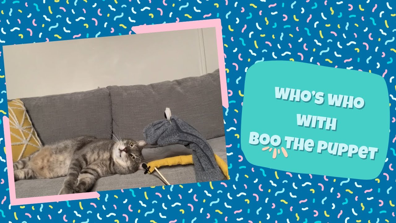 Who's Who with Boo the Puppet | Silly Interview for Kids 🎤🧦 - YouTube