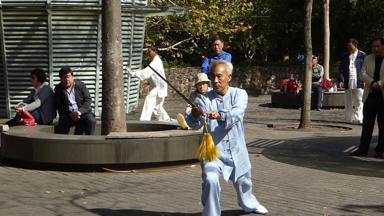 Tai Chi Ch'uan Sun Lutang Style Martial Artist showdown in People's ...