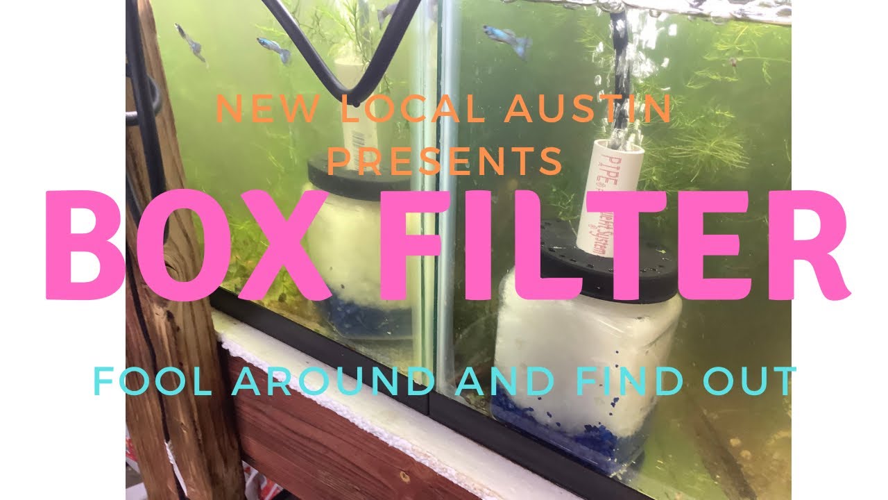 Box filter Fool Around and Find Out - YouTube