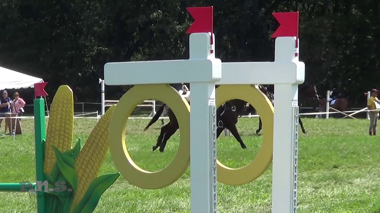 Christopher Westgate & Corbie Richland Park CIC & Horse Trials 2017 ...