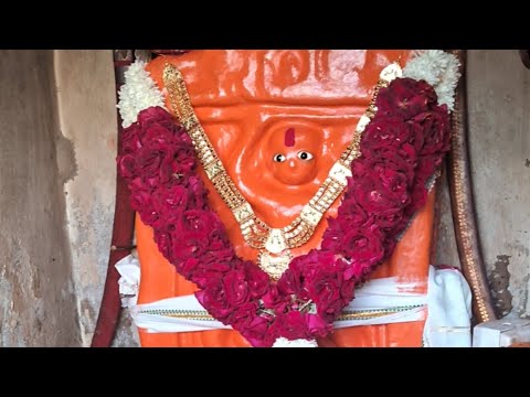 Rajaji dada na live darshan l surapura dham bholad bhetadiya - YouTube