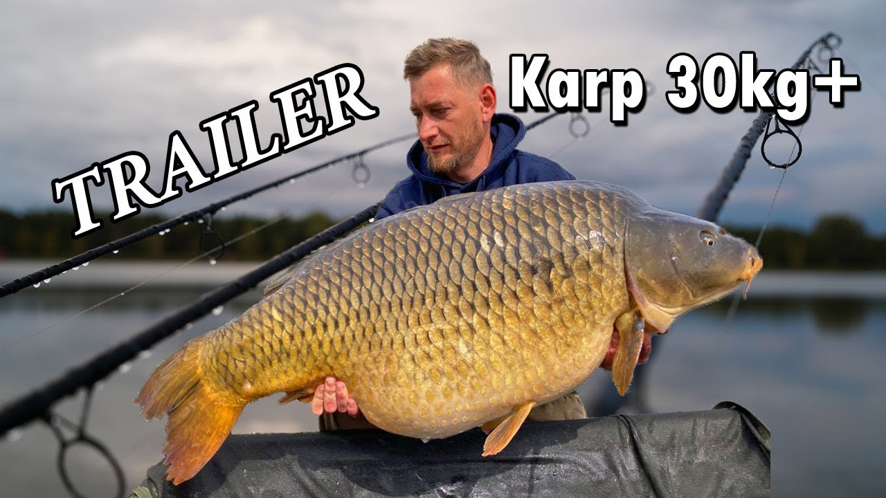 Karp 30kg+ | Zwiastun | 4K - YouTube