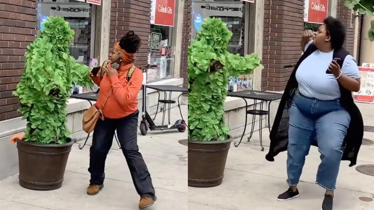 Guy Plays Bushman Prank On Passers-By - YouTube