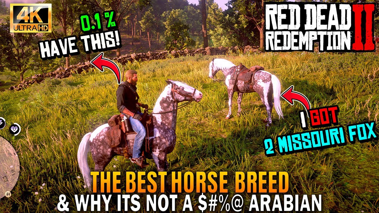 FREE AND EASY TO GET ARTHUR 2 MISSOURI FOX TROTTER IN CHAPTER 2 RDR2 ...