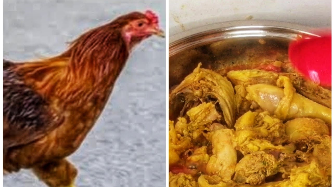 How to Cook Road Runner Chicken (Kuku Kienyeji) - Beginner Friendly ...