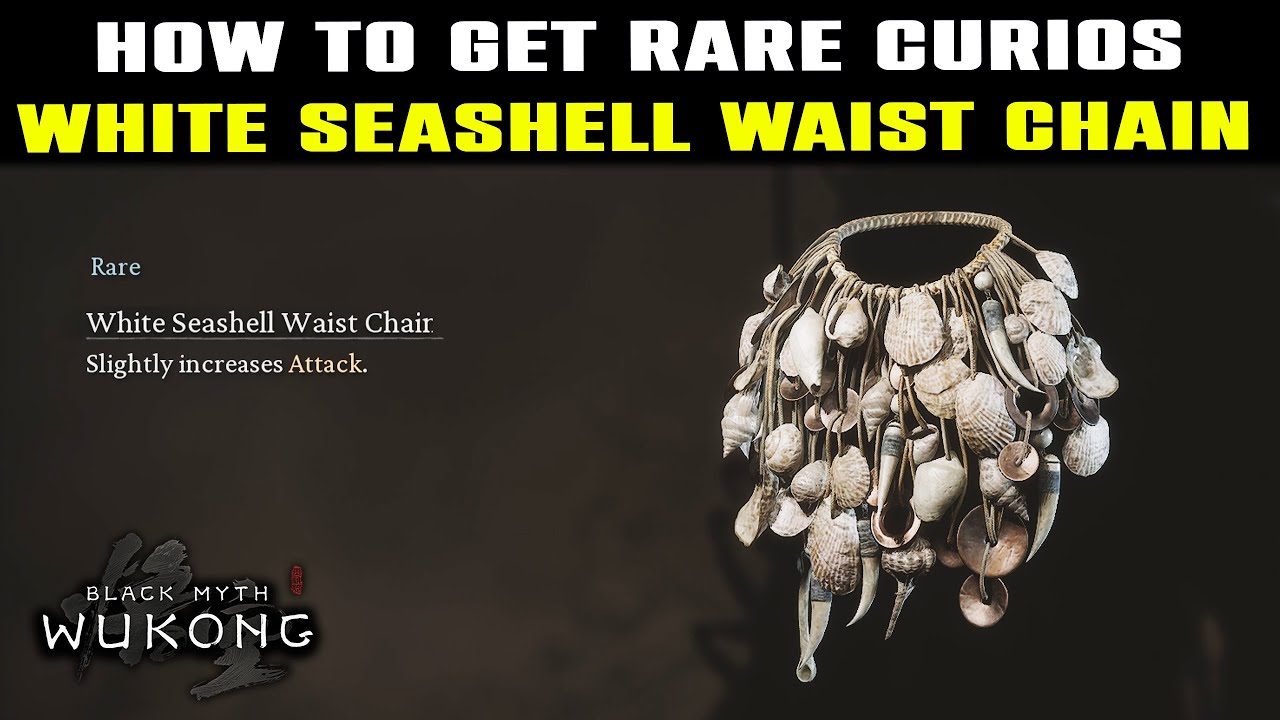 RARE Curios Location: White Seashell Waist Chain Location Guide | Black ...