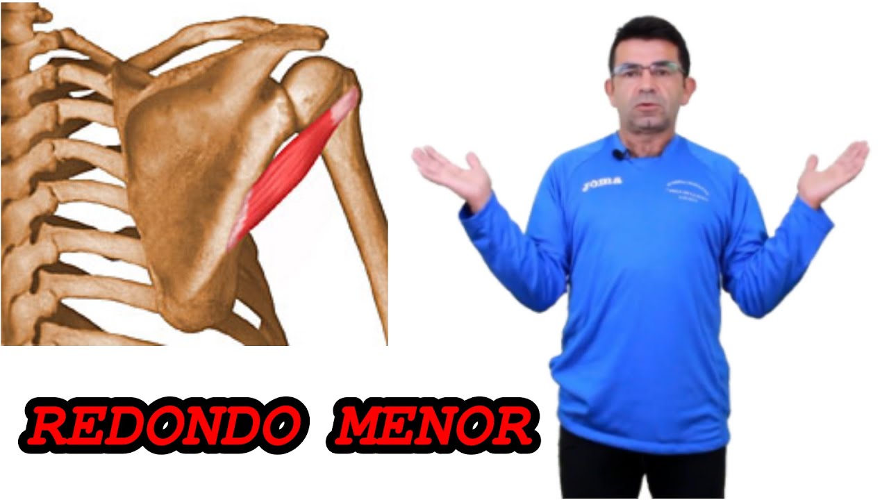 Musculo Redondo Menor, valoración y corrección - YouTube