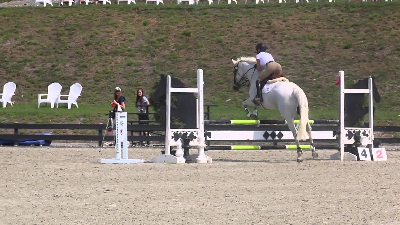 Quicksilver .90m Jumpers (SOLD) - YouTube