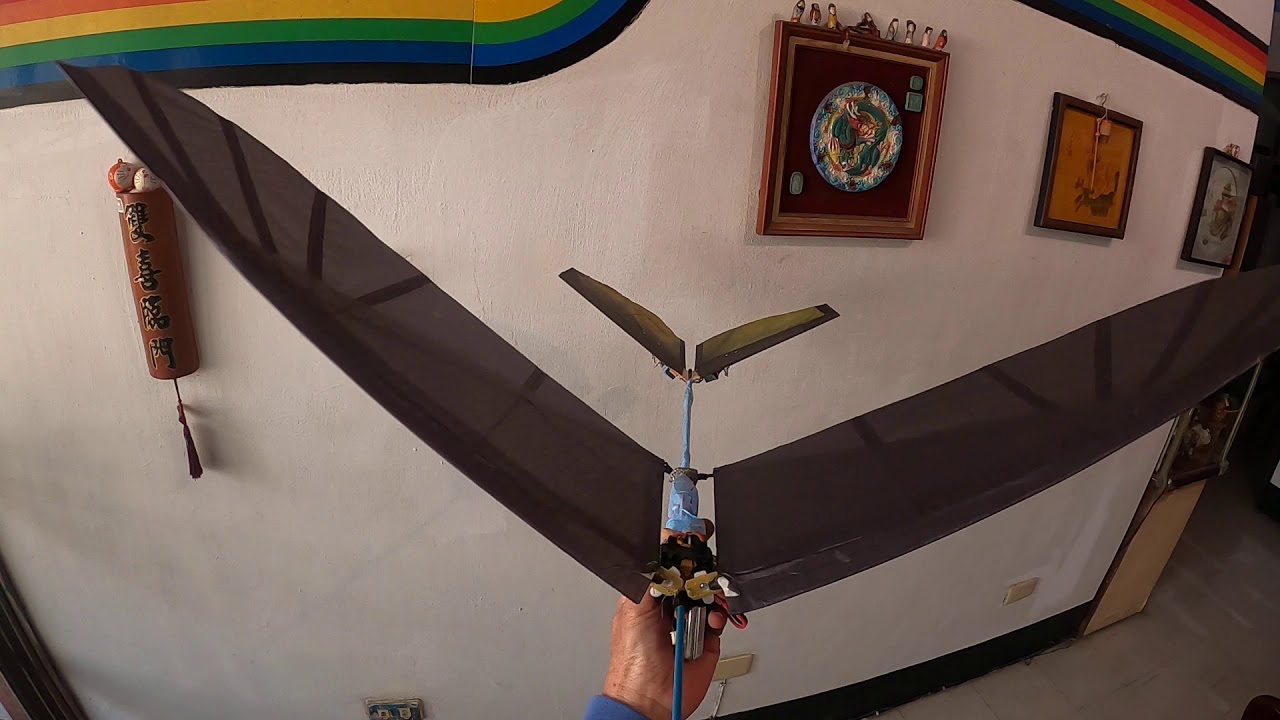 GH010220 ornithopter,cheap servo-driven experiment 3 - YouTube