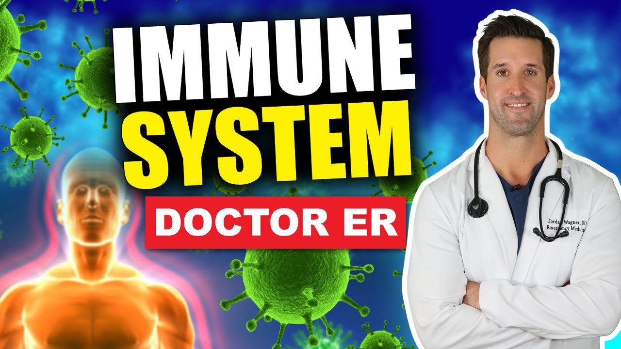 How Do You Boost Your Immune System? – Immune System Explained | Doctor ...