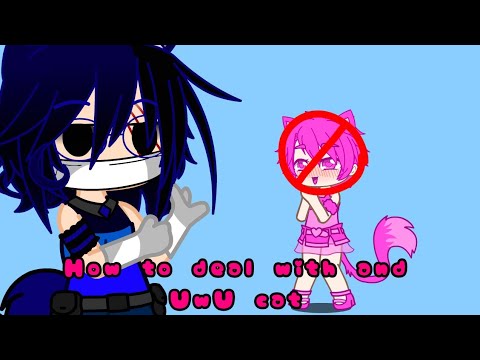 How to deal with an UwU cat - YouTube