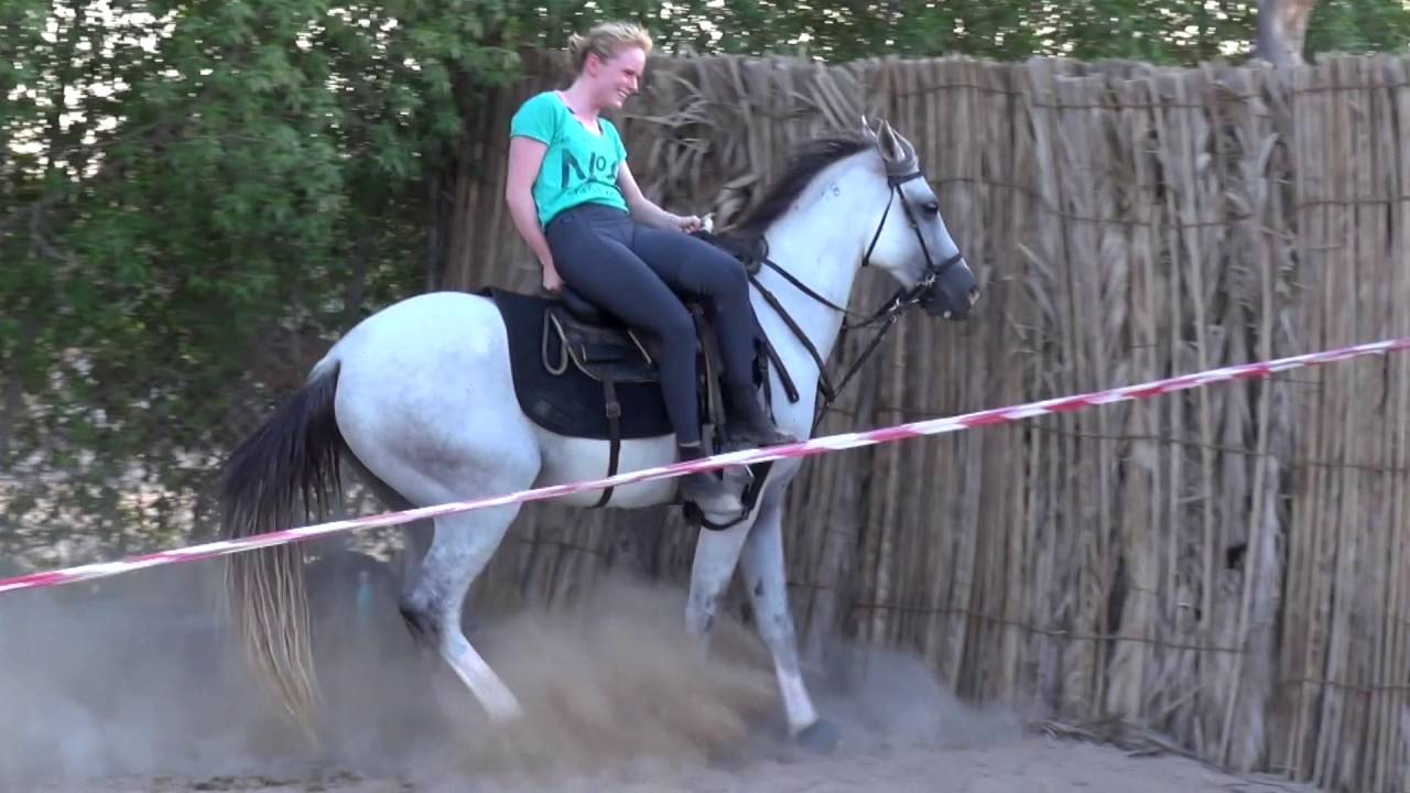 Trick Riding - Funny Fail/Win - YouTube